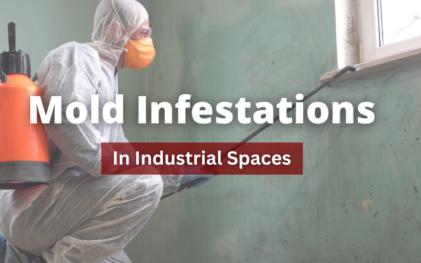 Five Ways to Prevent Mold Infestations in Industrial Spaces